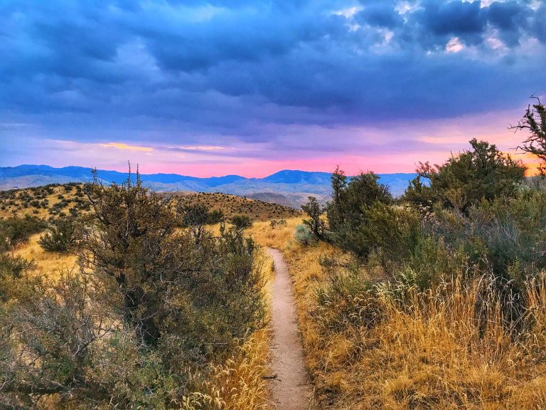 The 3 Best Boise Trail Runs for Beginner Trail Runners » Boise Trails