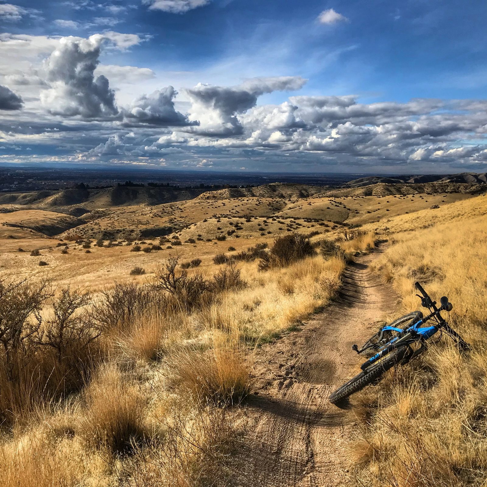 Shane's » Trail Map » Boise Trails