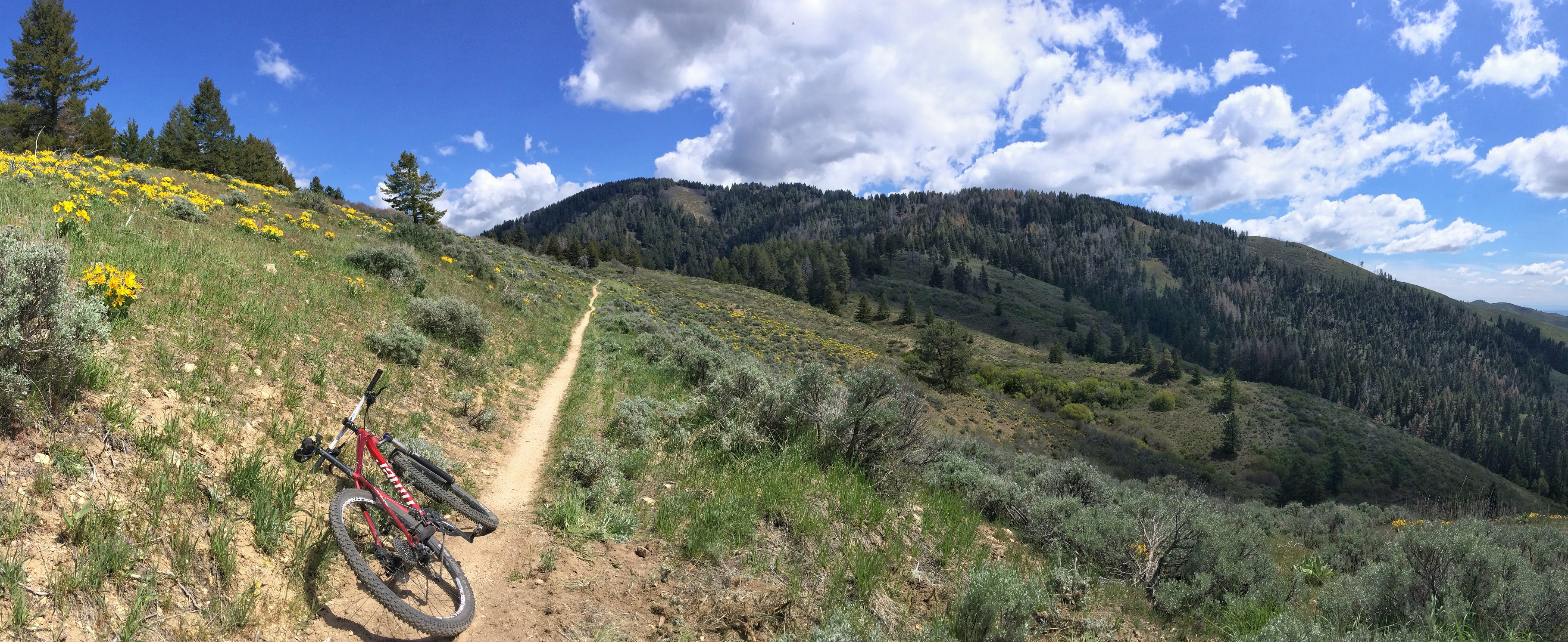 The Case for Boise as America's Greatest Mountain Bike City » Boise Trails